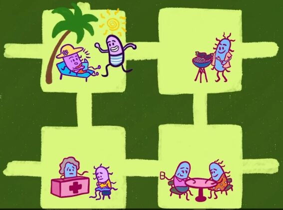 Científico chileno crea paisajes en un chip para estudiar cómo las ...